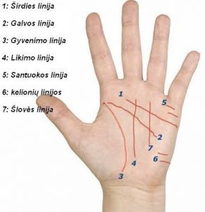 Įsižiūrėję atidžiau nustebsite: šią delno liniją turi tik išskirtiniai ...